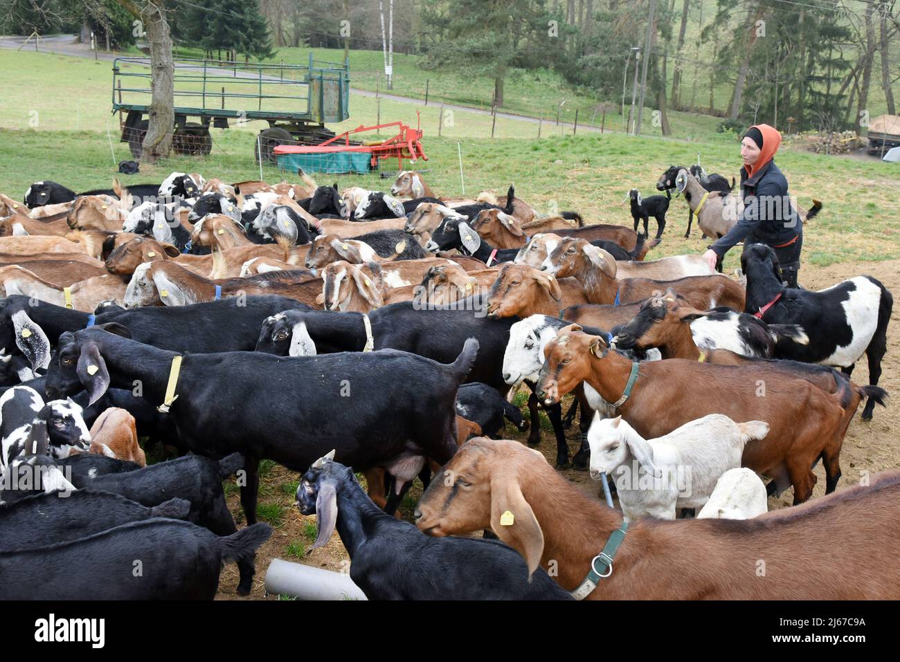 Katja lossner hi-res stock photography and images - Alamy