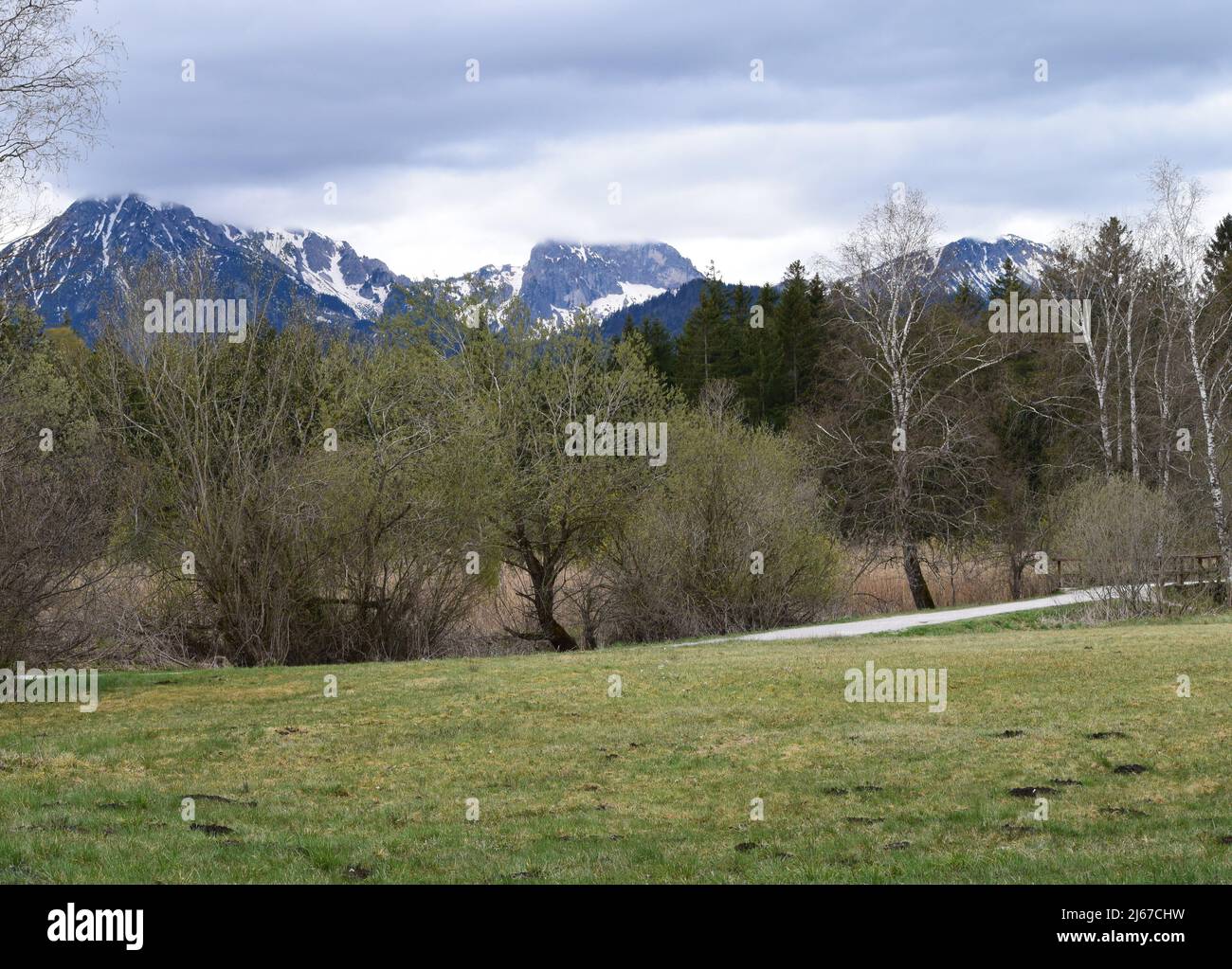 Trail through nature hi-res stock photography and images - Alamy