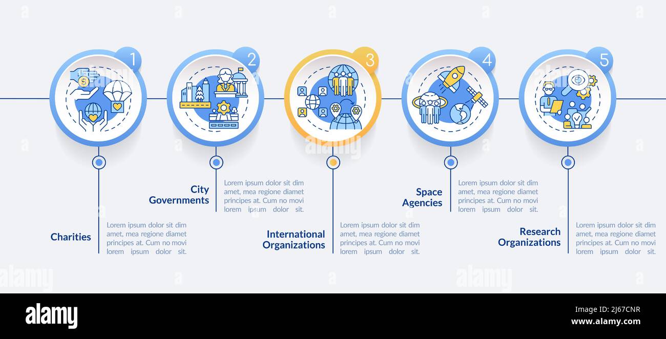 Institutions examples circle infographic template Stock Vector Image ...