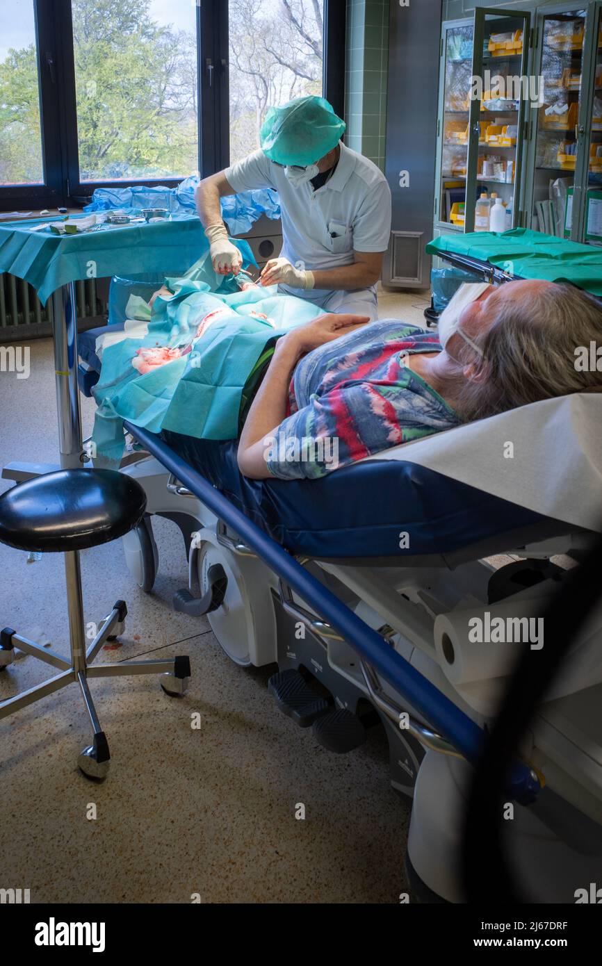 in a hospital a doctor stitches the wound on the leg of a patient Stock ...