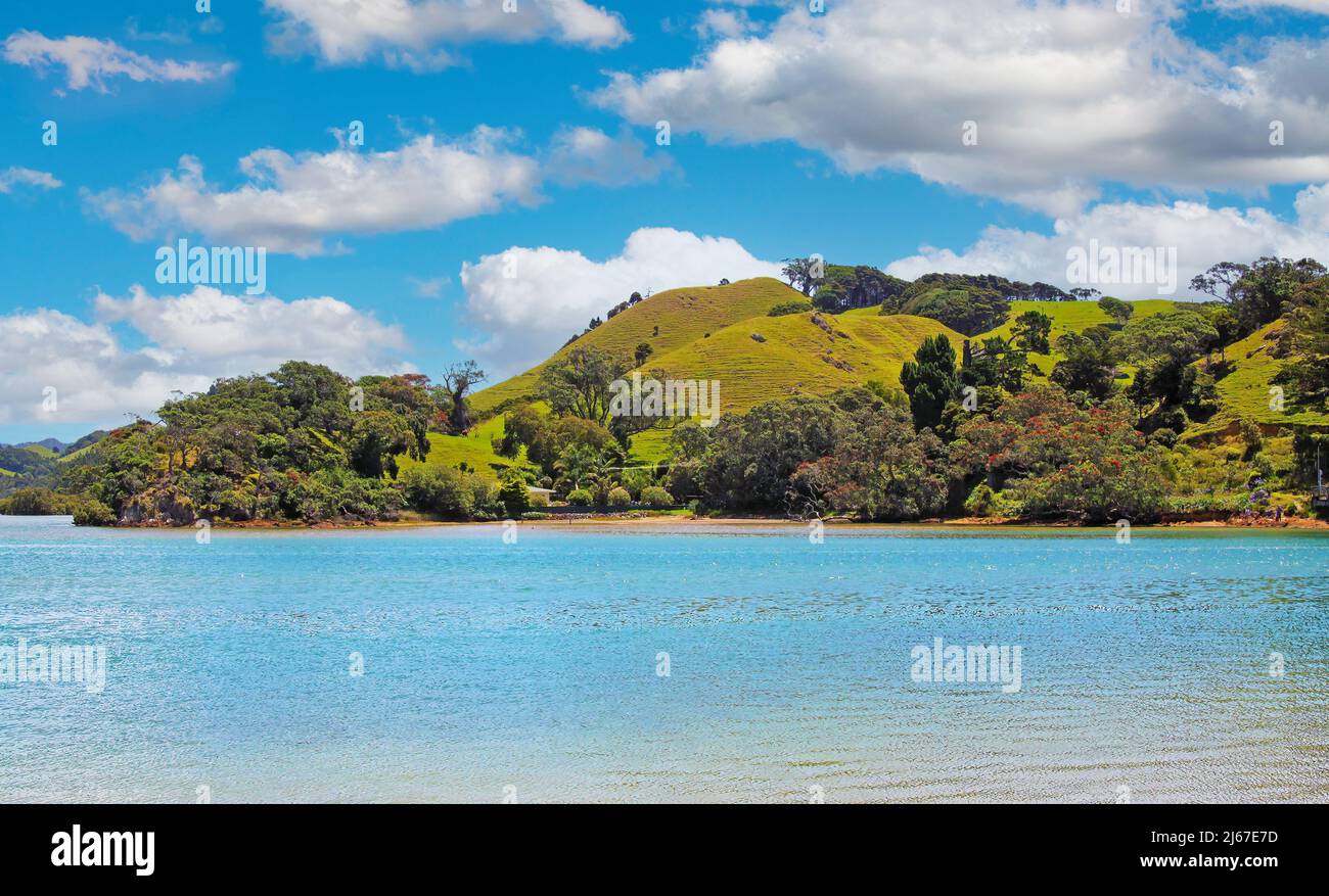 Pataua island hi-res stock photography and images - Alamy