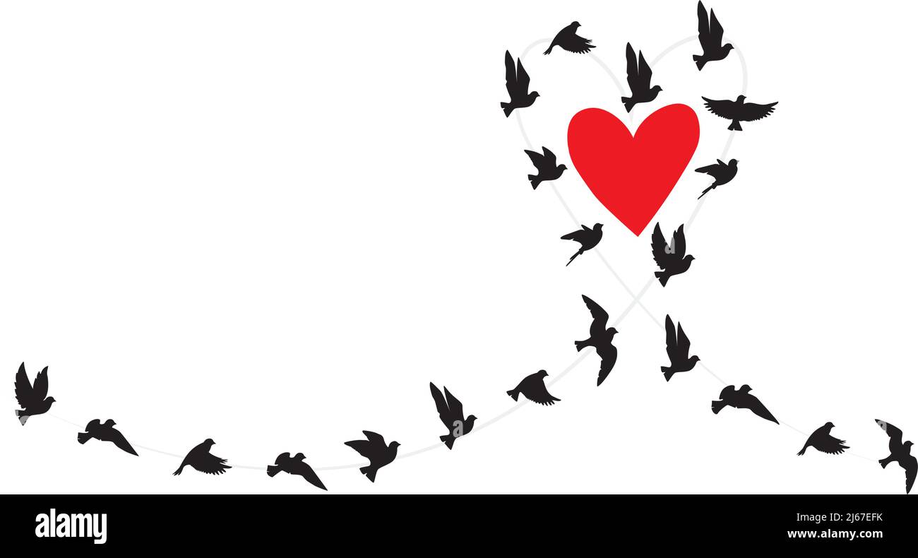 Flying birds silhouettes around a heart isolated on white background ...