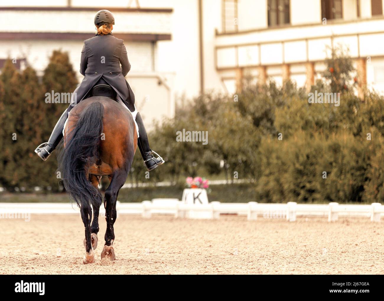 Classic Dressage horse. Equestrian sport. Dressage of horses in the ...