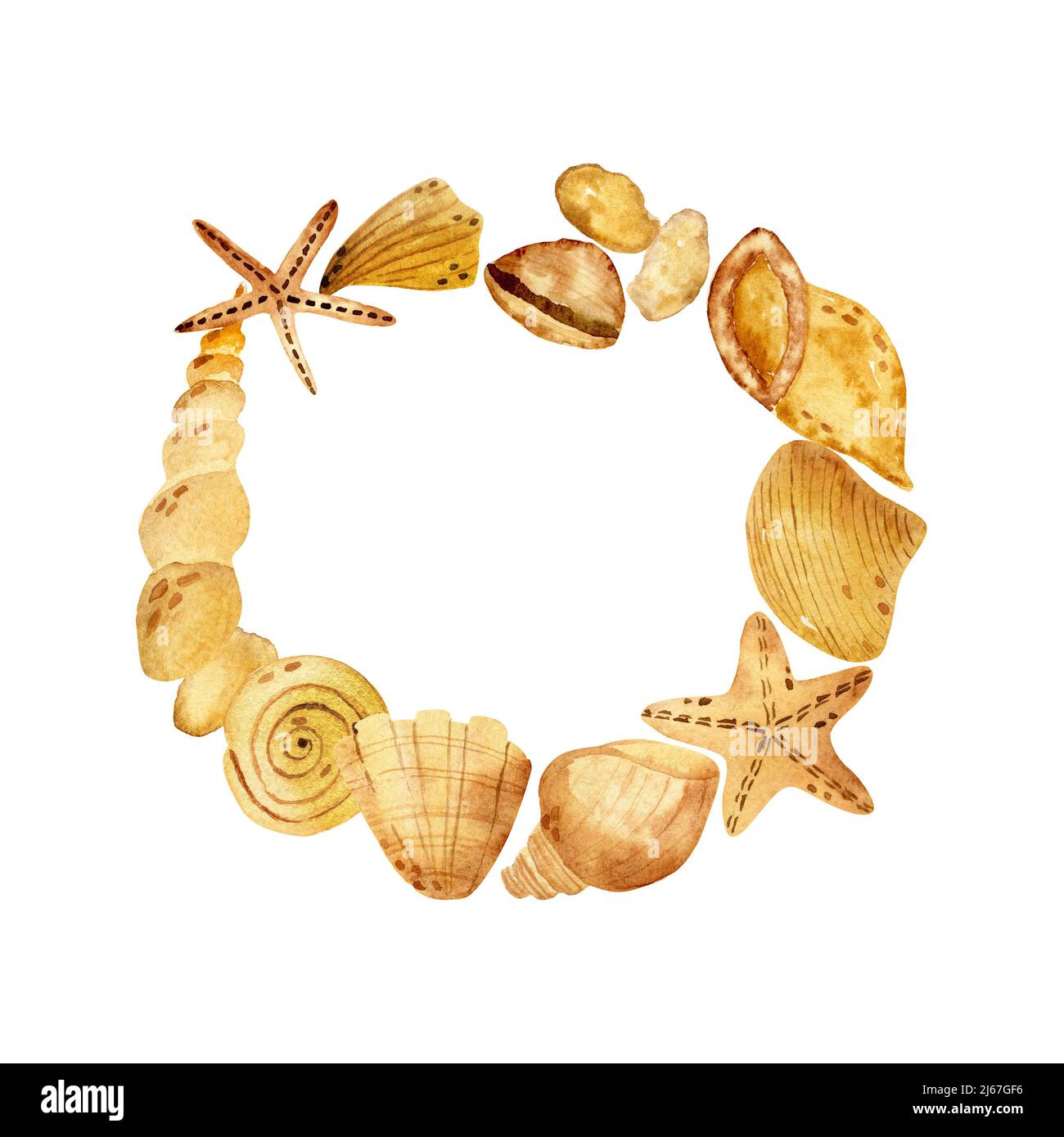 Watercolor sea shells composition. Collection of sea shells, stars and ...