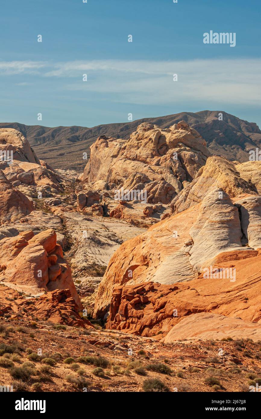 Rounded tops hi-res stock photography and images - Alamy