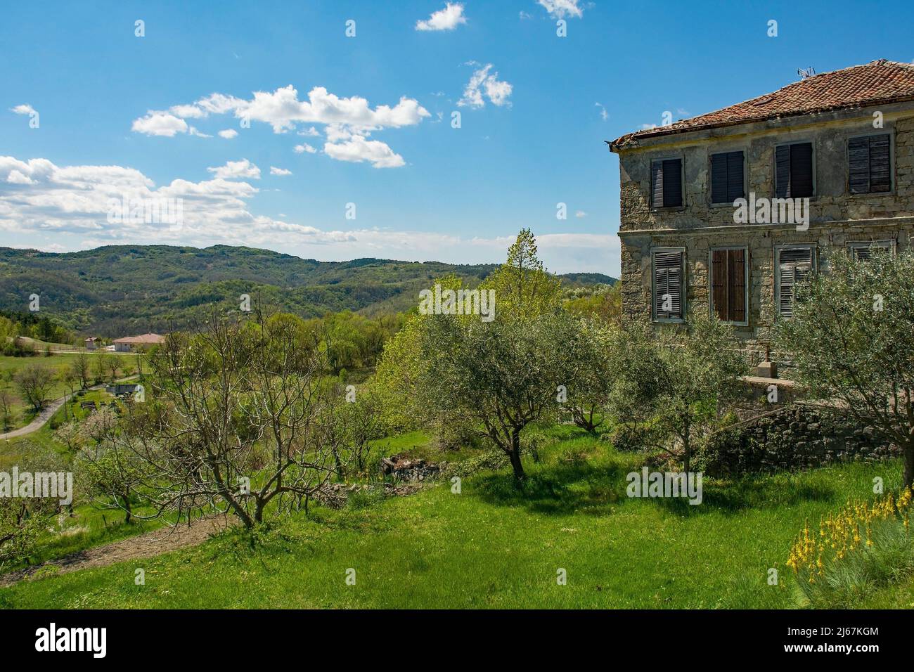 The spring landscape near the historic village of Hum in Istria ...