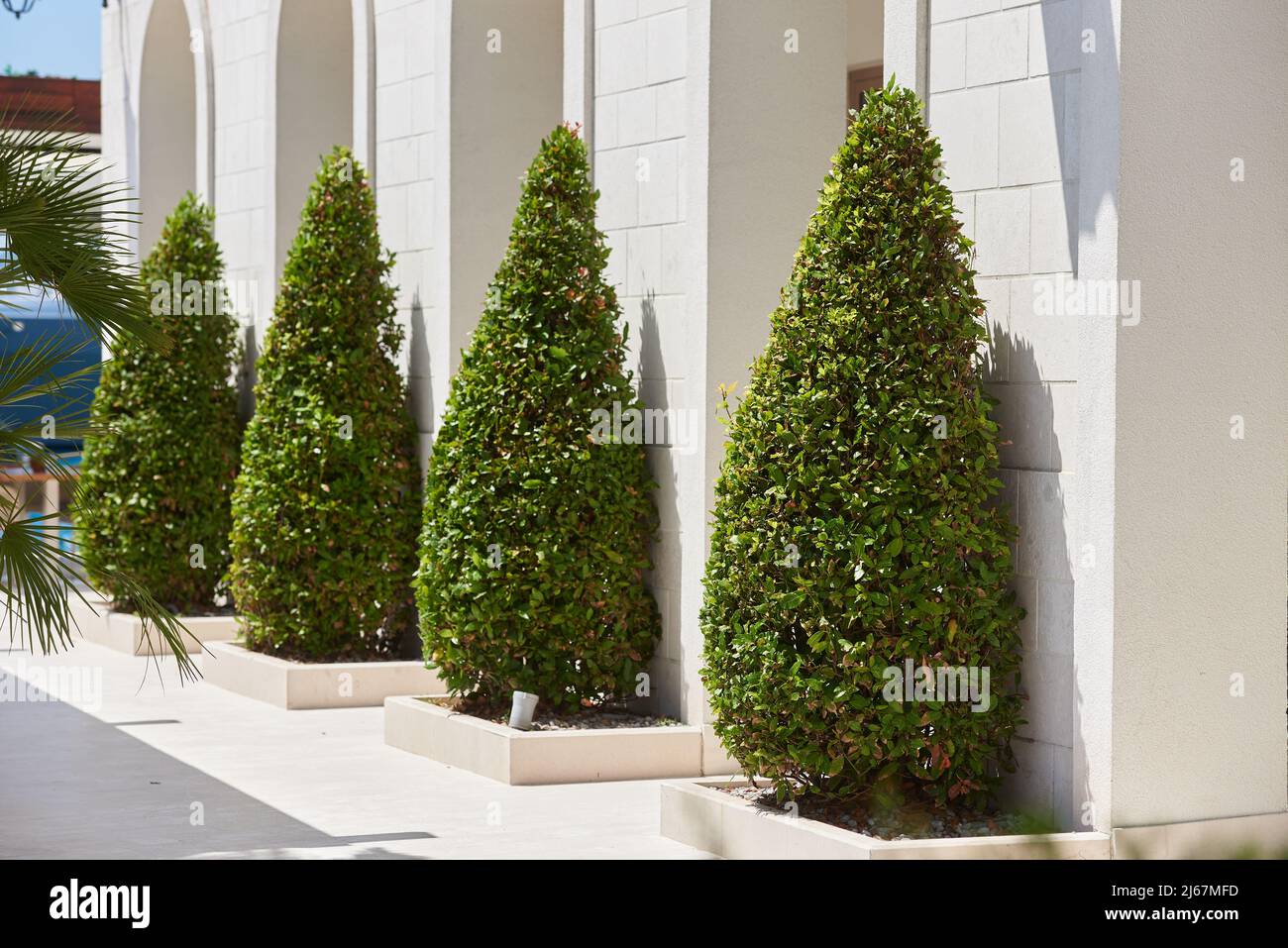 Building greenery hi-res stock photography and images - Alamy