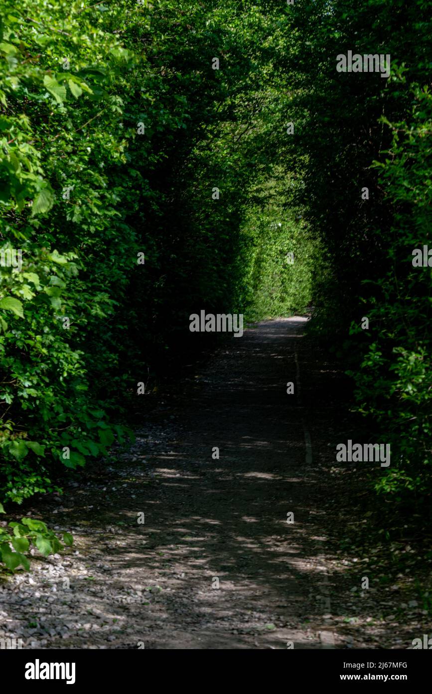 Footpath in the park, St Chad Nature Reserve, England, April 2022 Stock ...