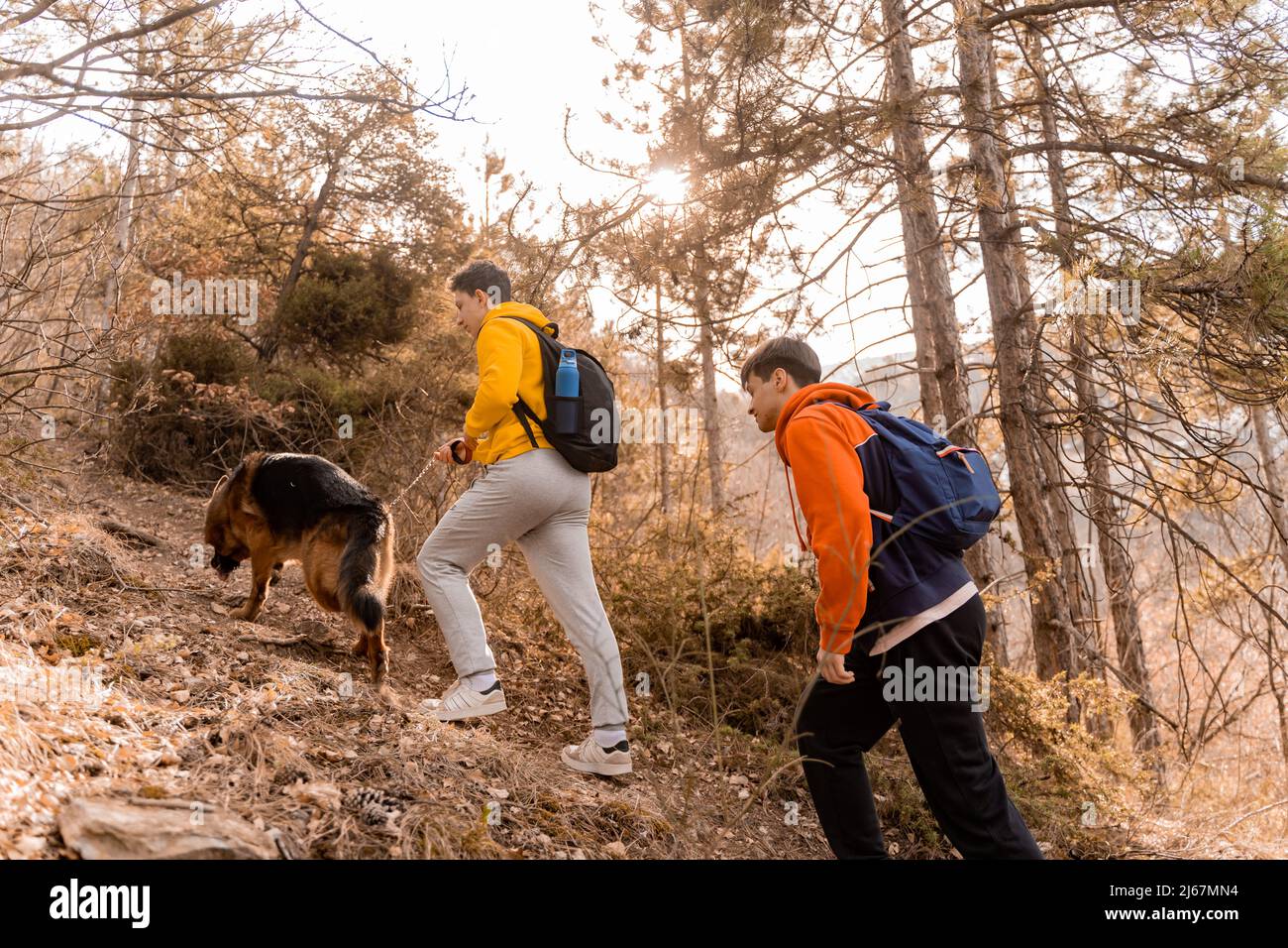 Amazing and handsome male friends are hiking in the forest Stock Photo ...