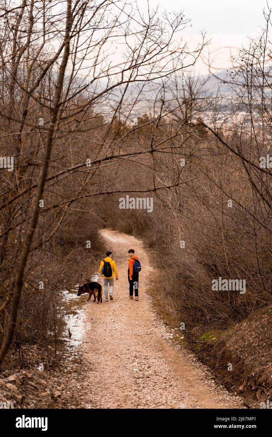 Amazing and handsome male friends are walking together with their dog ...