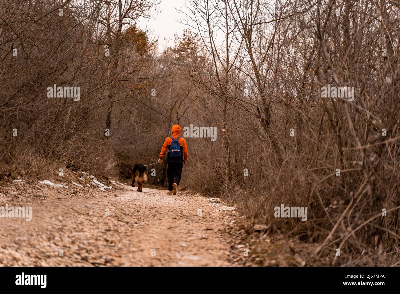 Handsome and amazing guy is walking the dog alone on the forest path ...