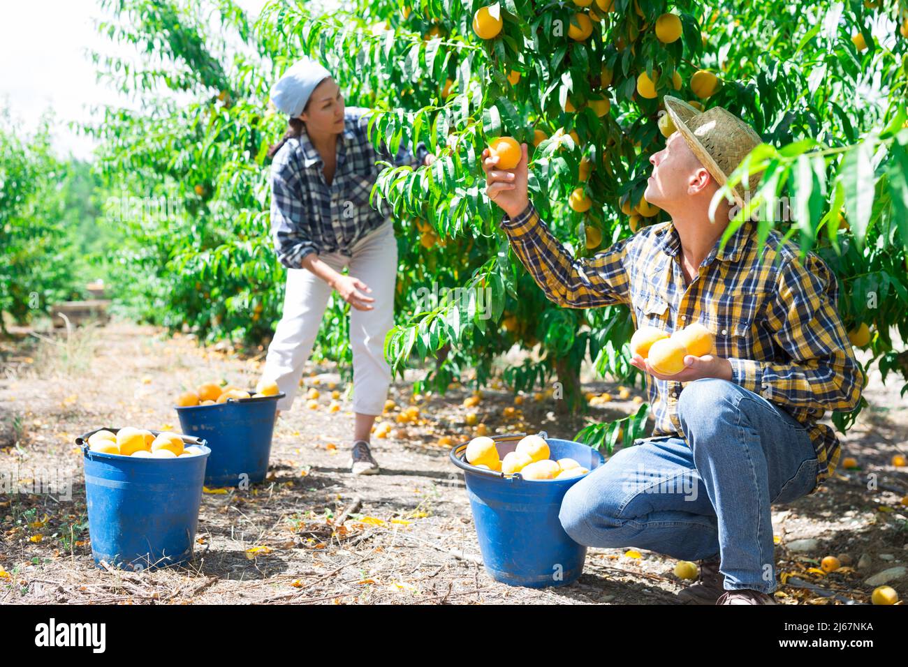 Group multinational farm workers hi-res stock photography and images ...