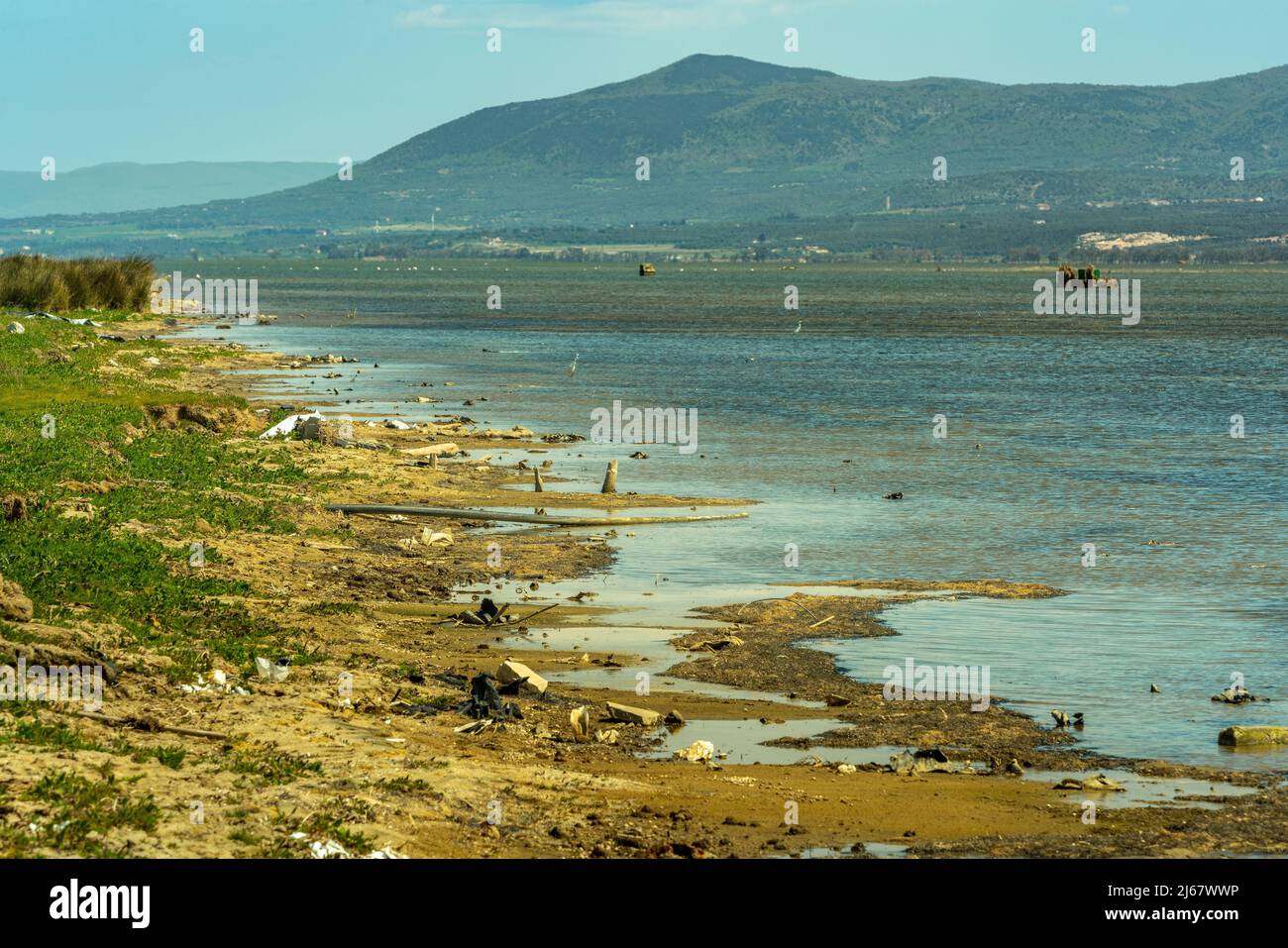Shores of Lake Lesina, a brackish lake basin located in the Gargano ...