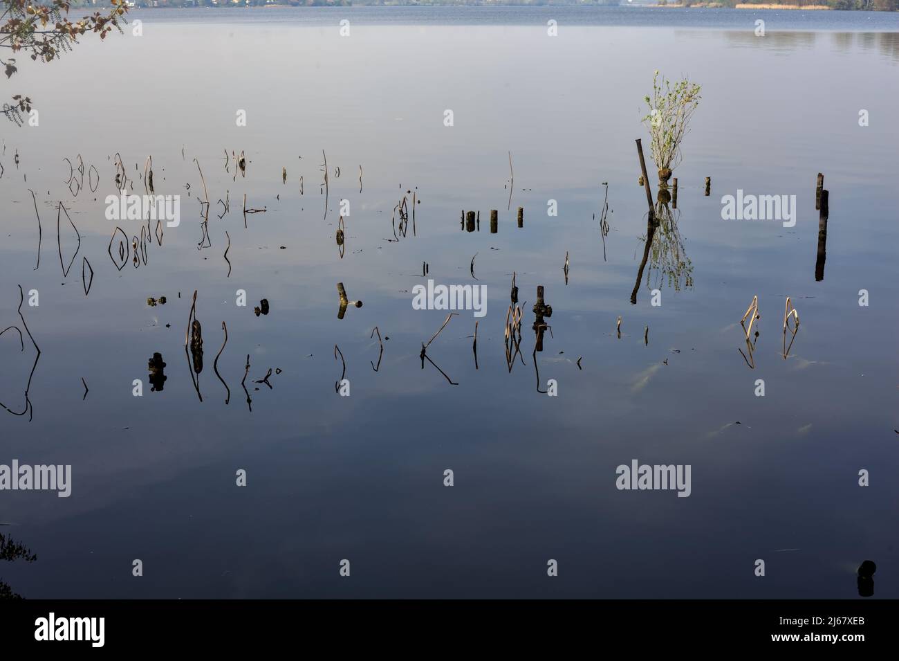 Polese hi-res stock photography and images - Alamy