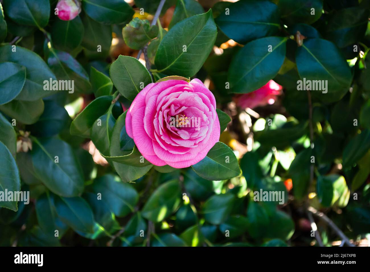 Spring 2022 hi-res stock photography and images - Alamy