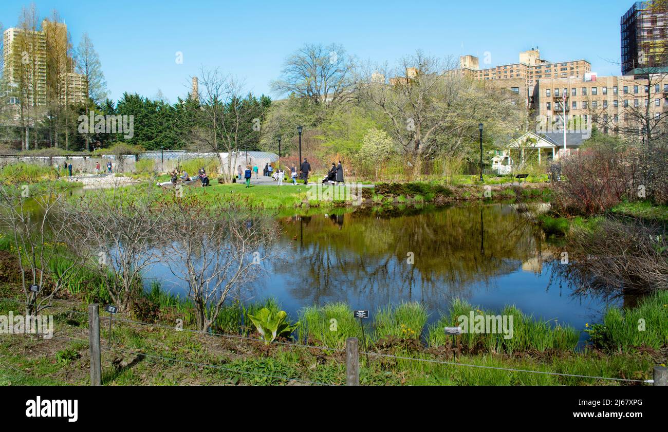 Brooklyn Botanic Garden Spring 2022 Stock Photo - Alamy