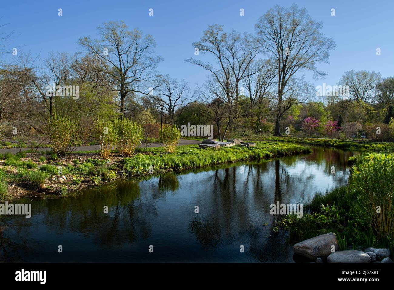 Brooklyn Botanic Garden Spring 2022 Stock Photo - Alamy