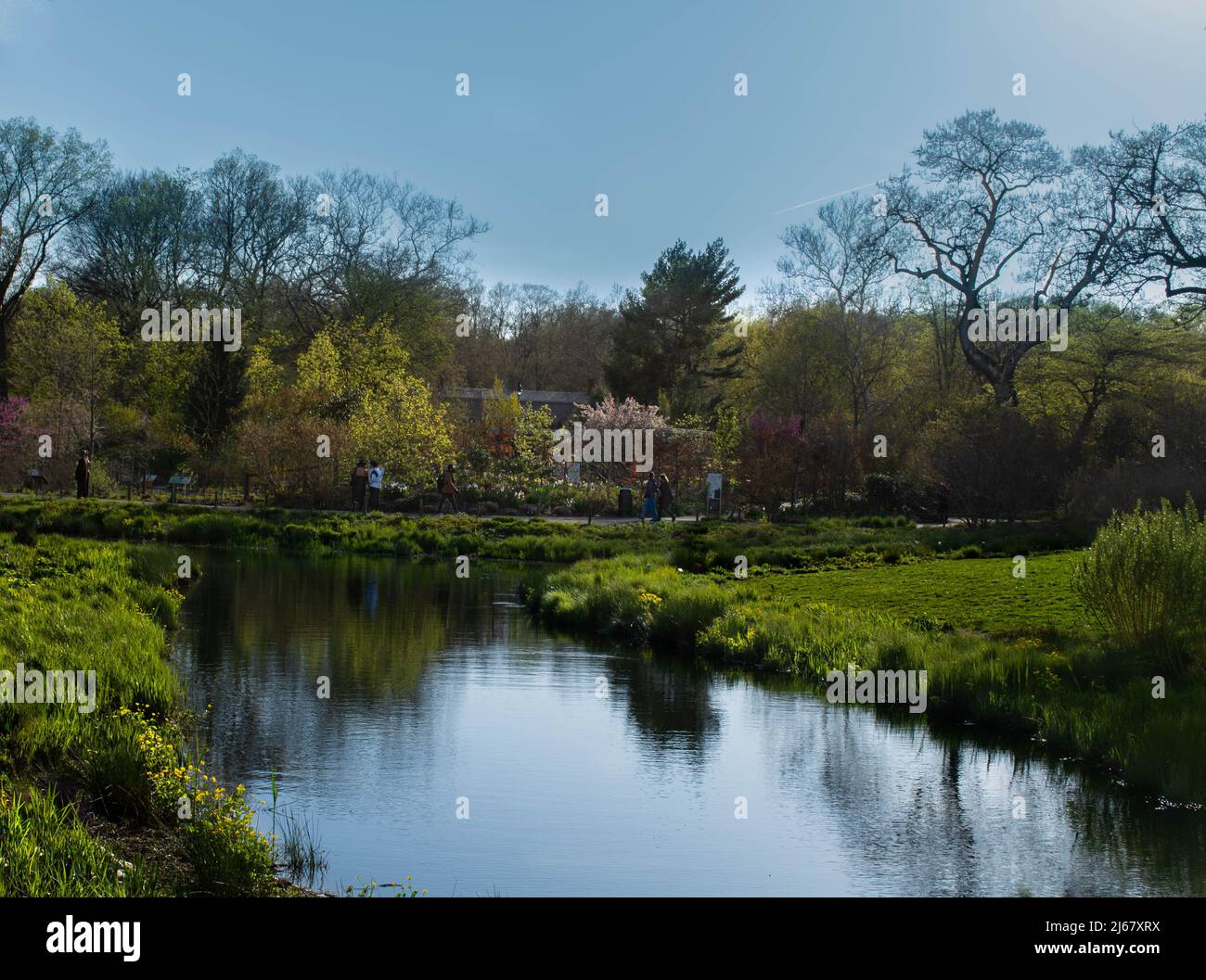 Brooklyn Botanic Garden Spring 2022 Stock Photo - Alamy