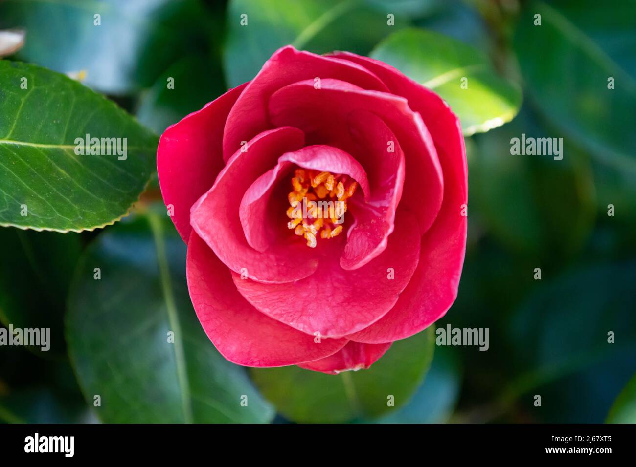 Spring 2022 hi-res stock photography and images - Alamy