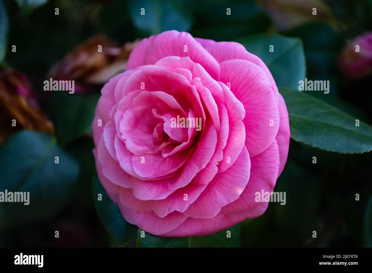 Spring 2022 hi-res stock photography and images - Alamy