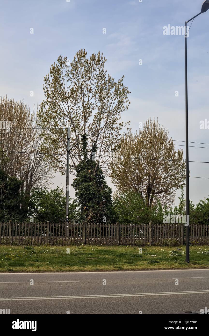 Road next to a lake and a park with railroad tracks by its edge on a ...