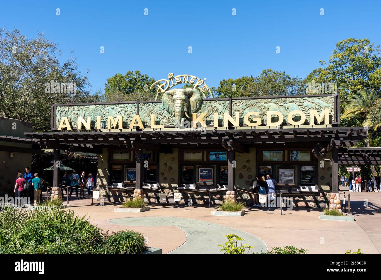 Animal Kingdom Entrance Loop