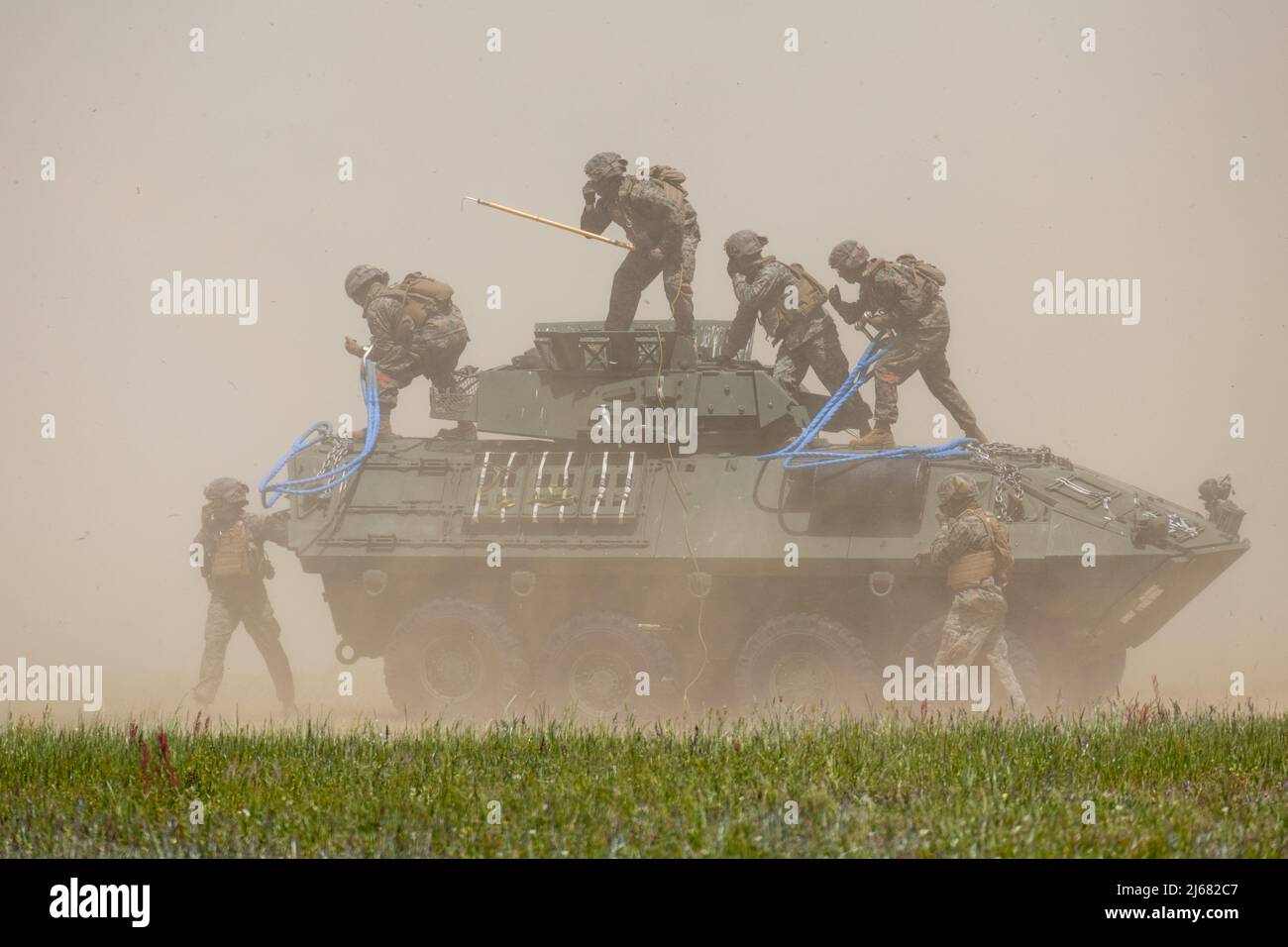 U.S. Marines with Combat Logistics Battalion (CLB) 24 prepare a Light ...