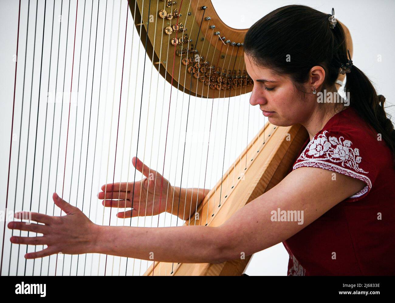 Ukrainian harpist Veronika Lemishenko seen during a special concert at ...