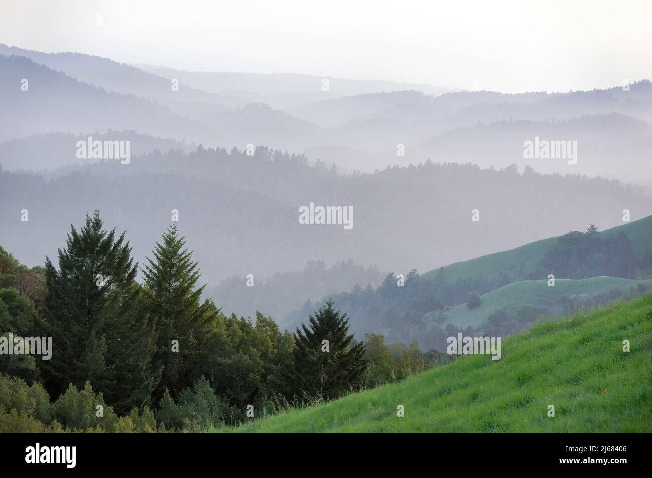 Rolling Landscape at Russian Ridge Preserve in Santa Cruz Mountains ...