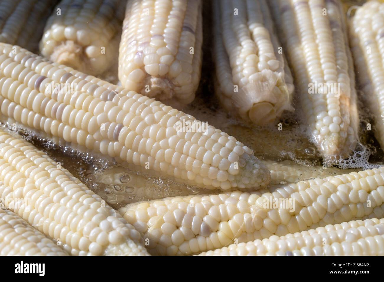Boiled white corn for sale on street food market in Thailand , close up ...