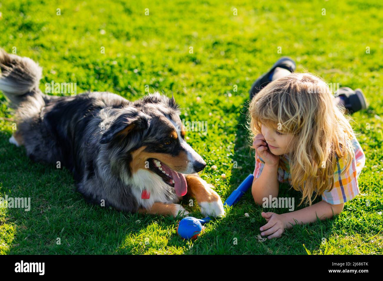 Little kid boy with dog on a grass Stock Photo - Alamy