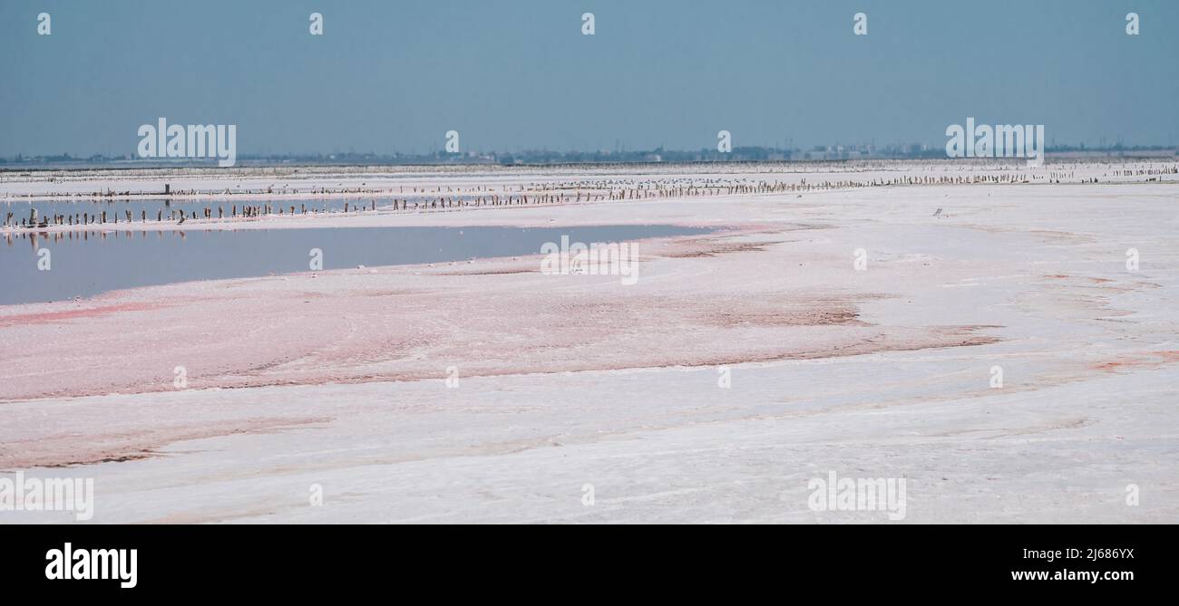 Pink salt crystals. Natural pink salt lake texture. Salt mining ...
