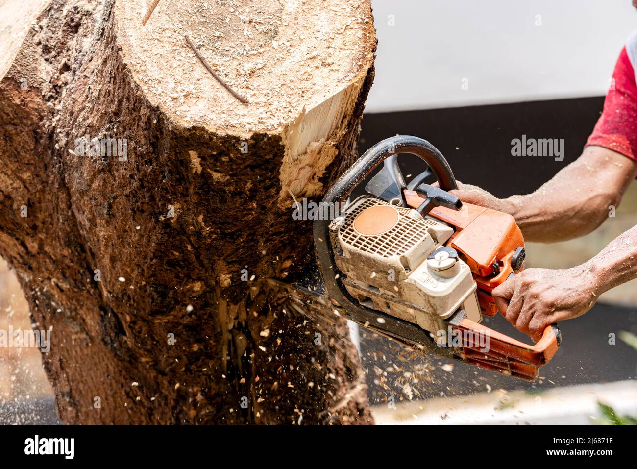 Chainsaw cutting house hi-res stock photography and images - Alamy