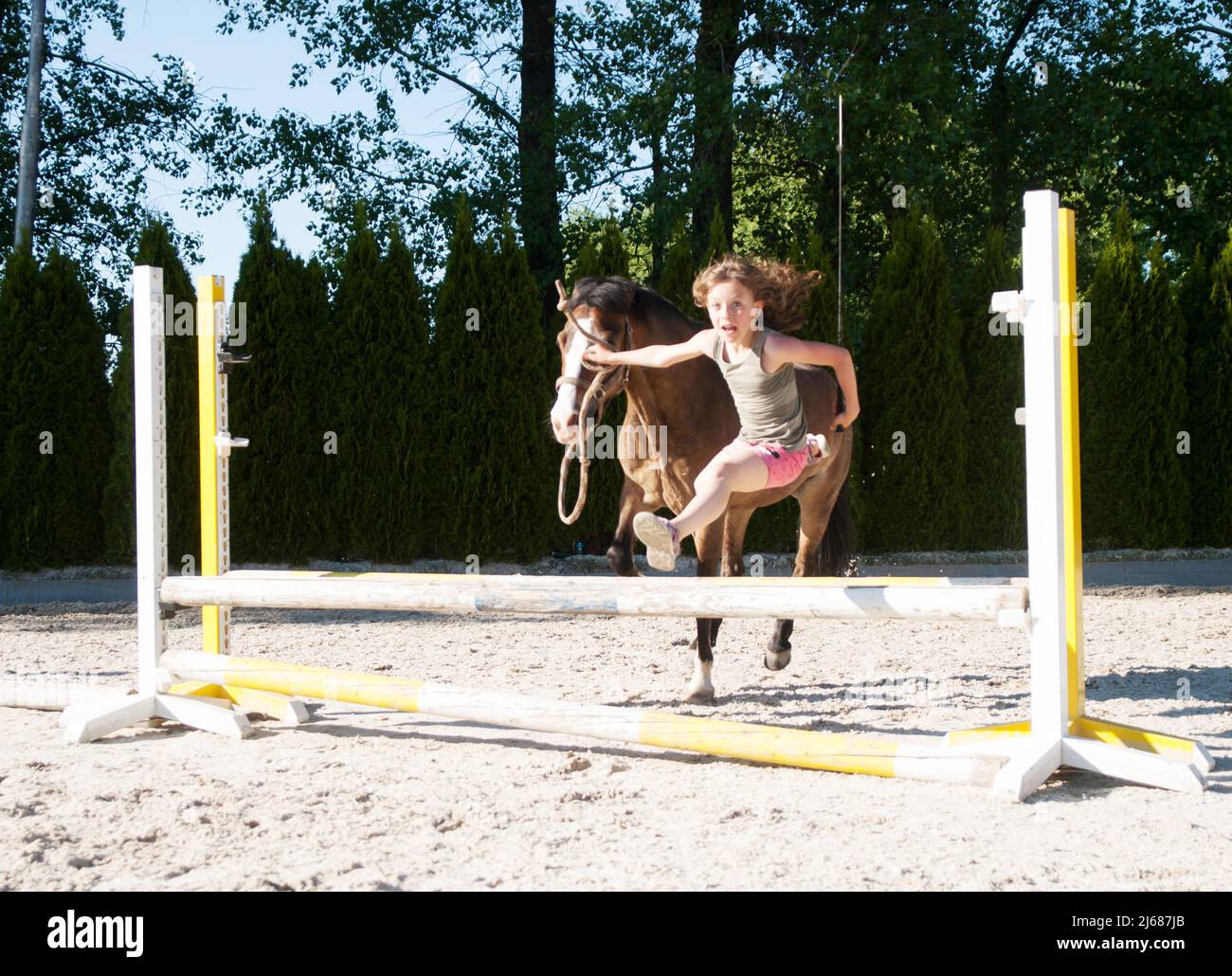 Girl jumping with her pony across hurdle Stock Photo - Alamy
