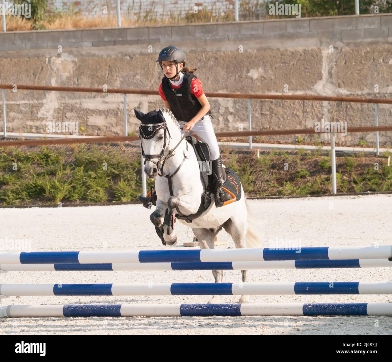 Showjumping hi-res stock photography and images - Alamy