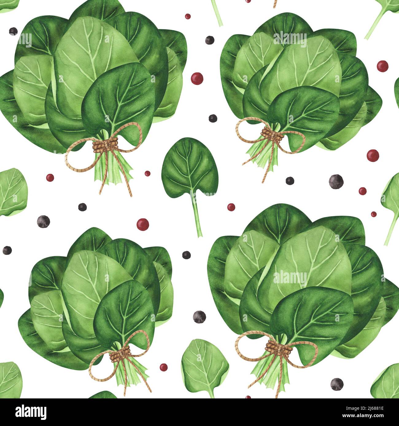 Bouquet fresh spinach seamless pattern on white background. Watercolor ...