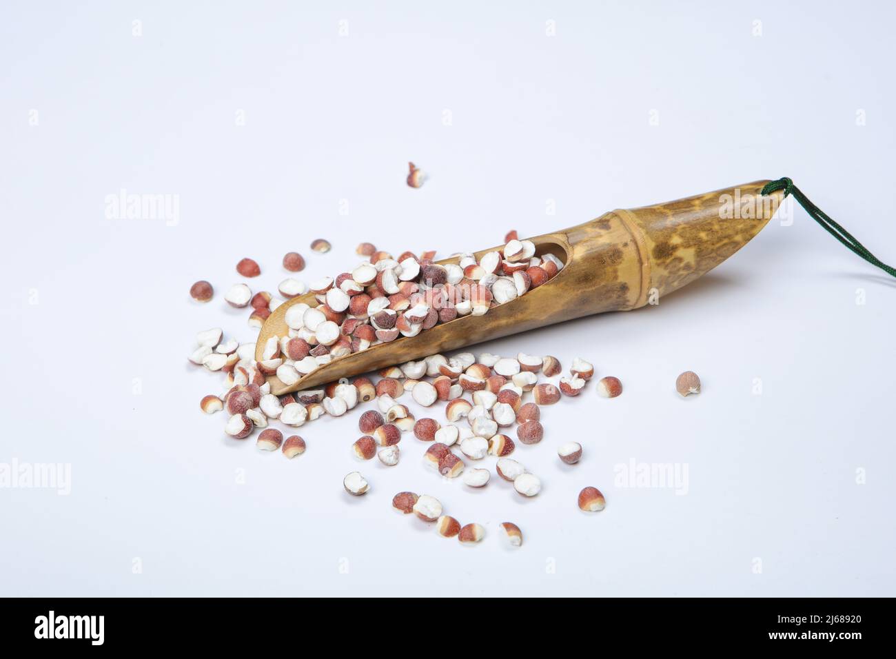 Still life Gordon euryale seed Stock Photo - Alamy