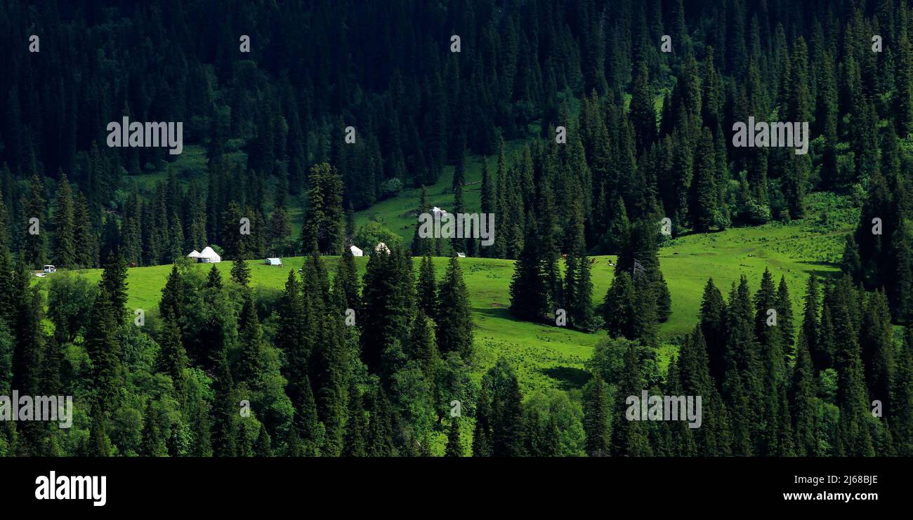 Nalati prairie air Stock Photo - Alamy