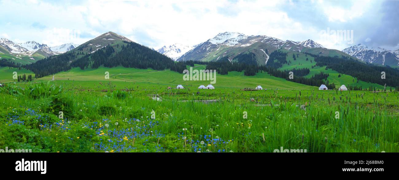 The six most beautiful grassland hi-res stock photography and images ...