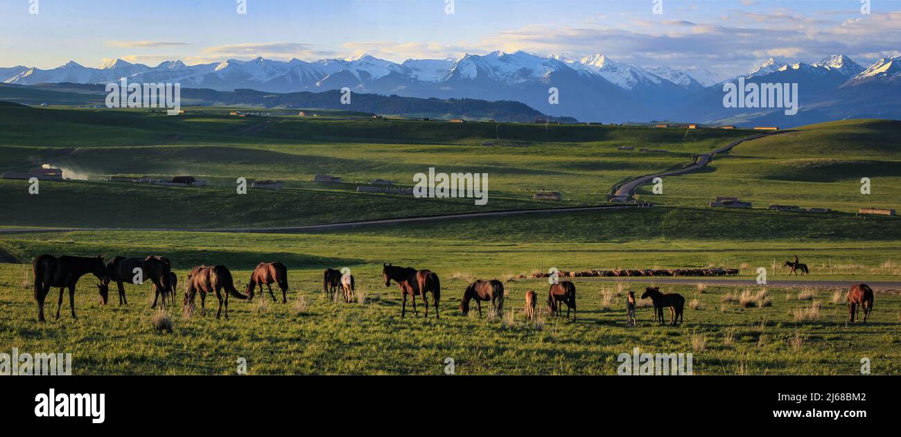 Prairie paradise hi-res stock photography and images - Alamy