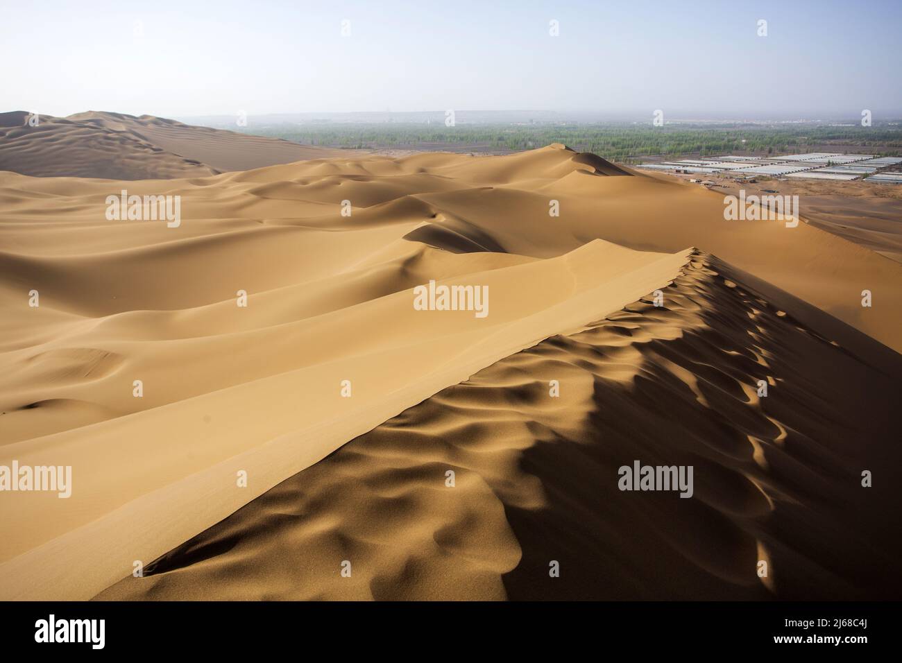 Library tower desert Stock Photo - Alamy