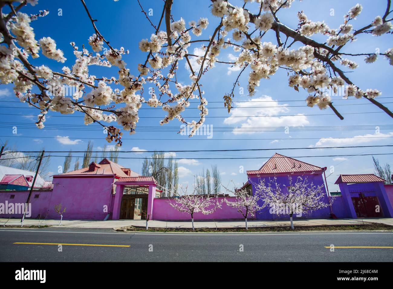 Apricot walls hi-res stock photography and images - Alamy
