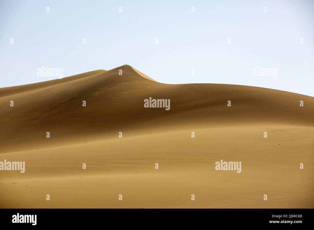 Library tower desert Stock Photo - Alamy