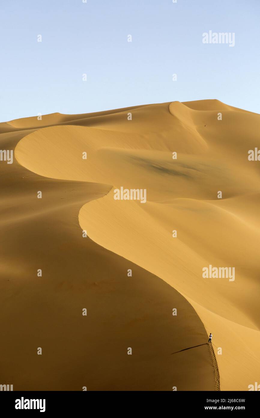 Library tower desert Stock Photo - Alamy