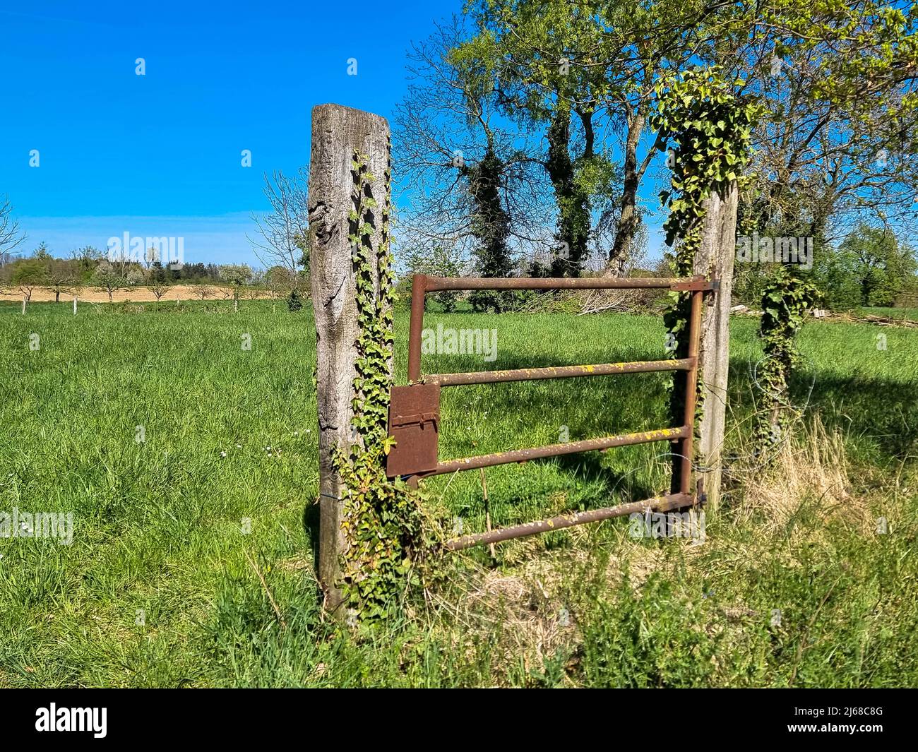 Rusty old iron gate between two wooden posts. Entrance to beautiful ...