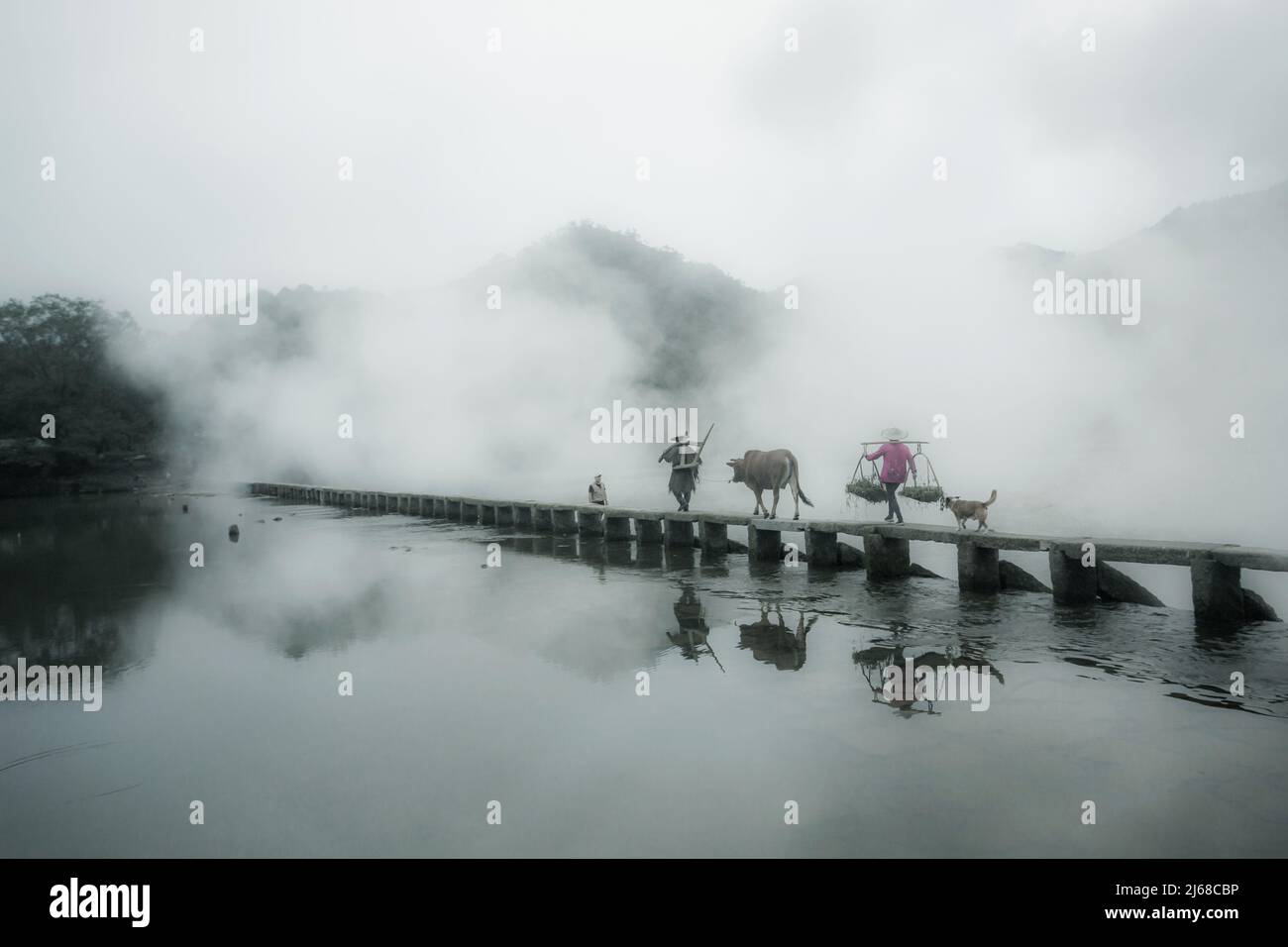 Zhejiang jinyun hi-res stock photography and images - Alamy