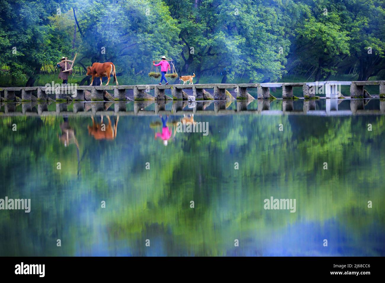 Zhe jiang Jinyun landscape Stock Photo - Alamy