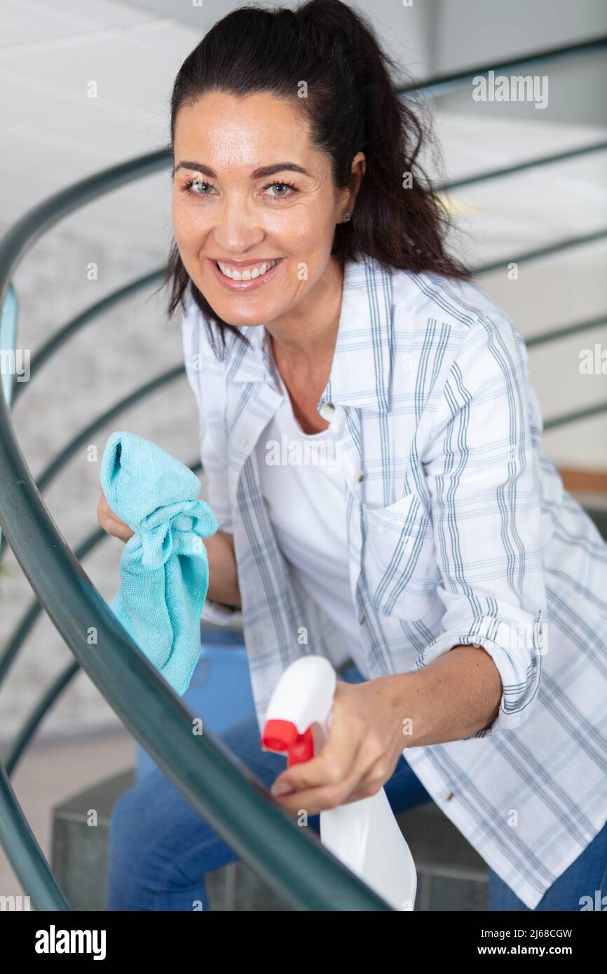 Beautiful maid hand duster hi-res stock photography and images - Alamy