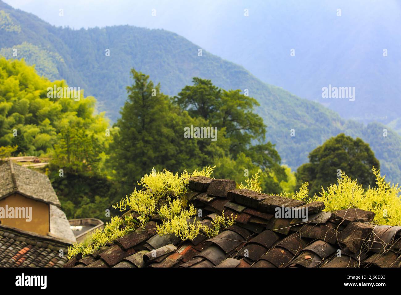 Chen village hi-res stock photography and images - Alamy