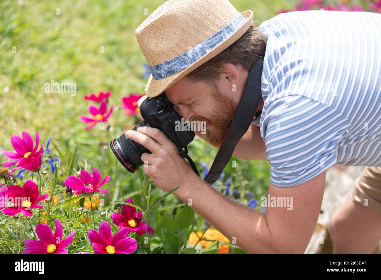 photographer taking photo of flowers Stock Photo - Alamy